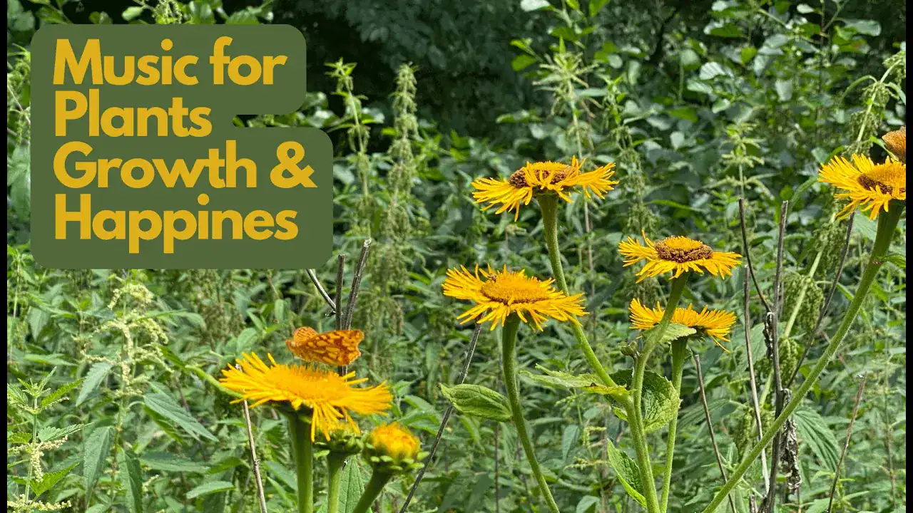 Relaxing Music for Plants Growth and Happiness
