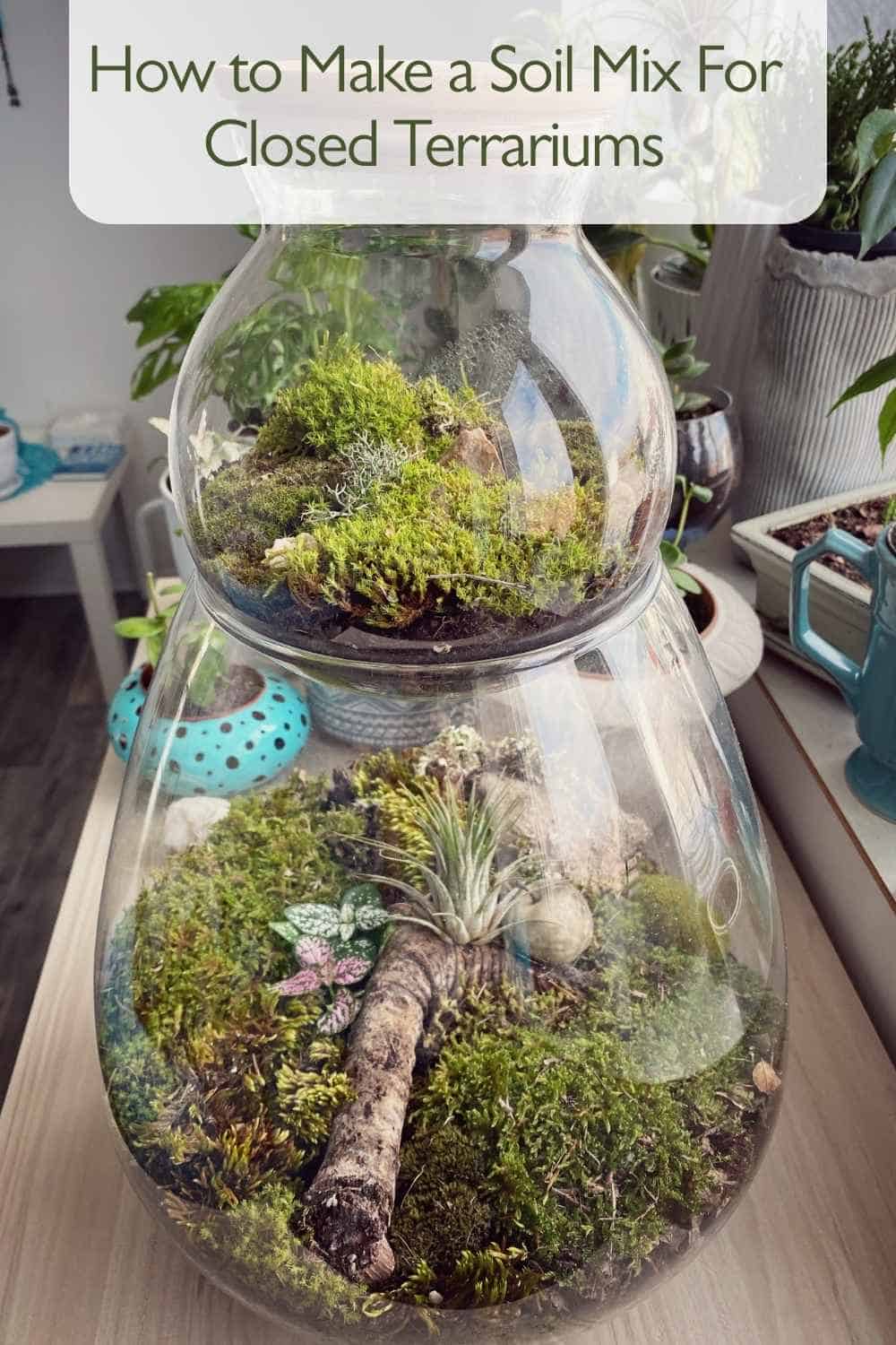 How to Make a Soil Mix for Closed Terrariums – Easy DIY Guide