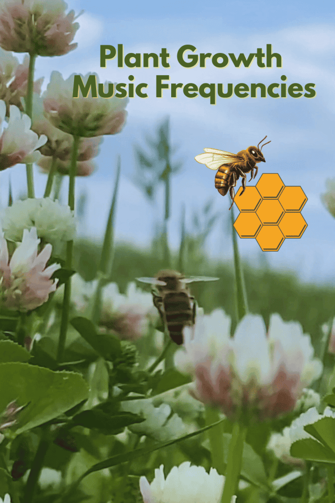 The Power of Plant Growth Music Frequencies for Healthier Plants