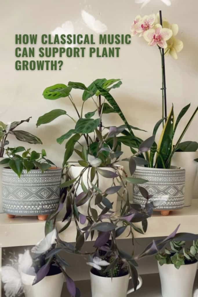 How Classical Music for Plants Supports Growth and Well-Being