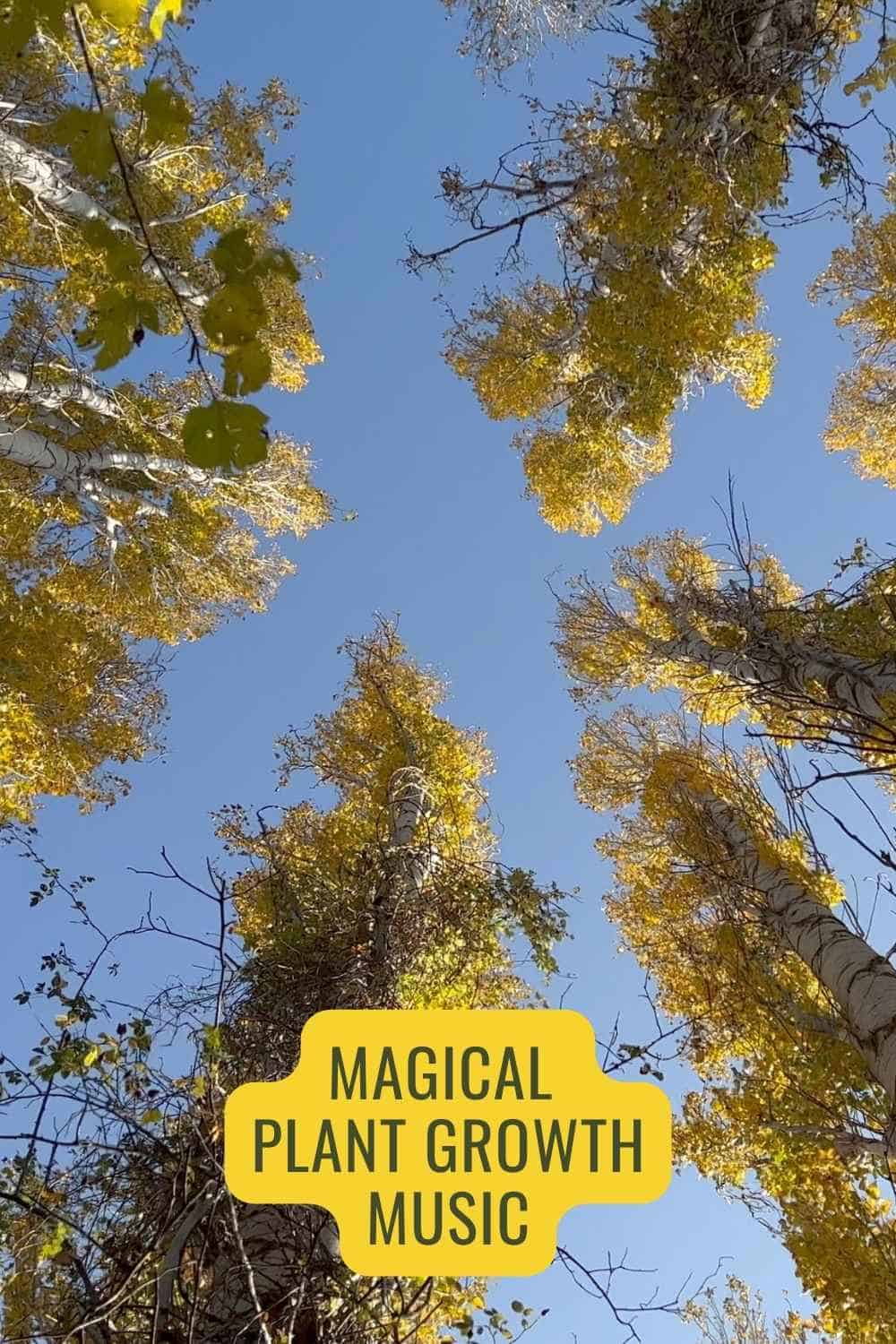 Magical Music for Plant Growth & Happiness | Positive Vibes