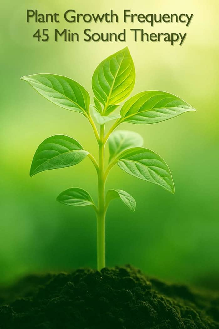 Plant Growth Frequency: 45 Min Sound Therapy for Stronger Plants