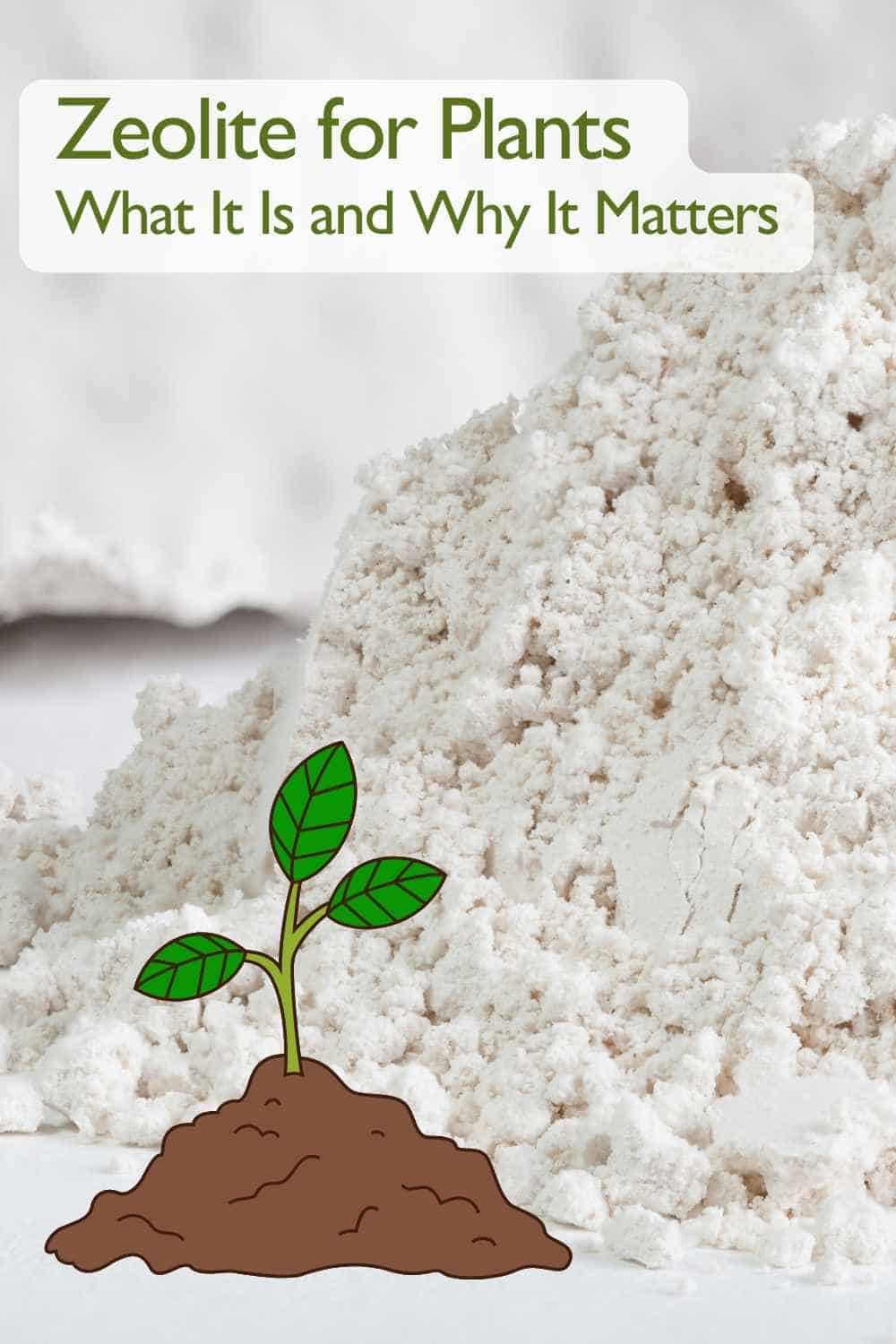 Zeolite for Plants: Origin, Composition, Properties and Benefits