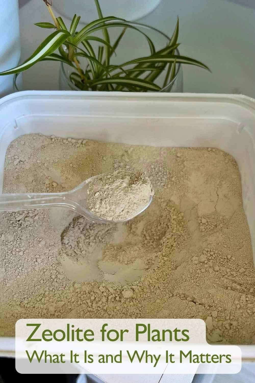 Zeolite for Plants: Origin, Composition, Properties and Benefits