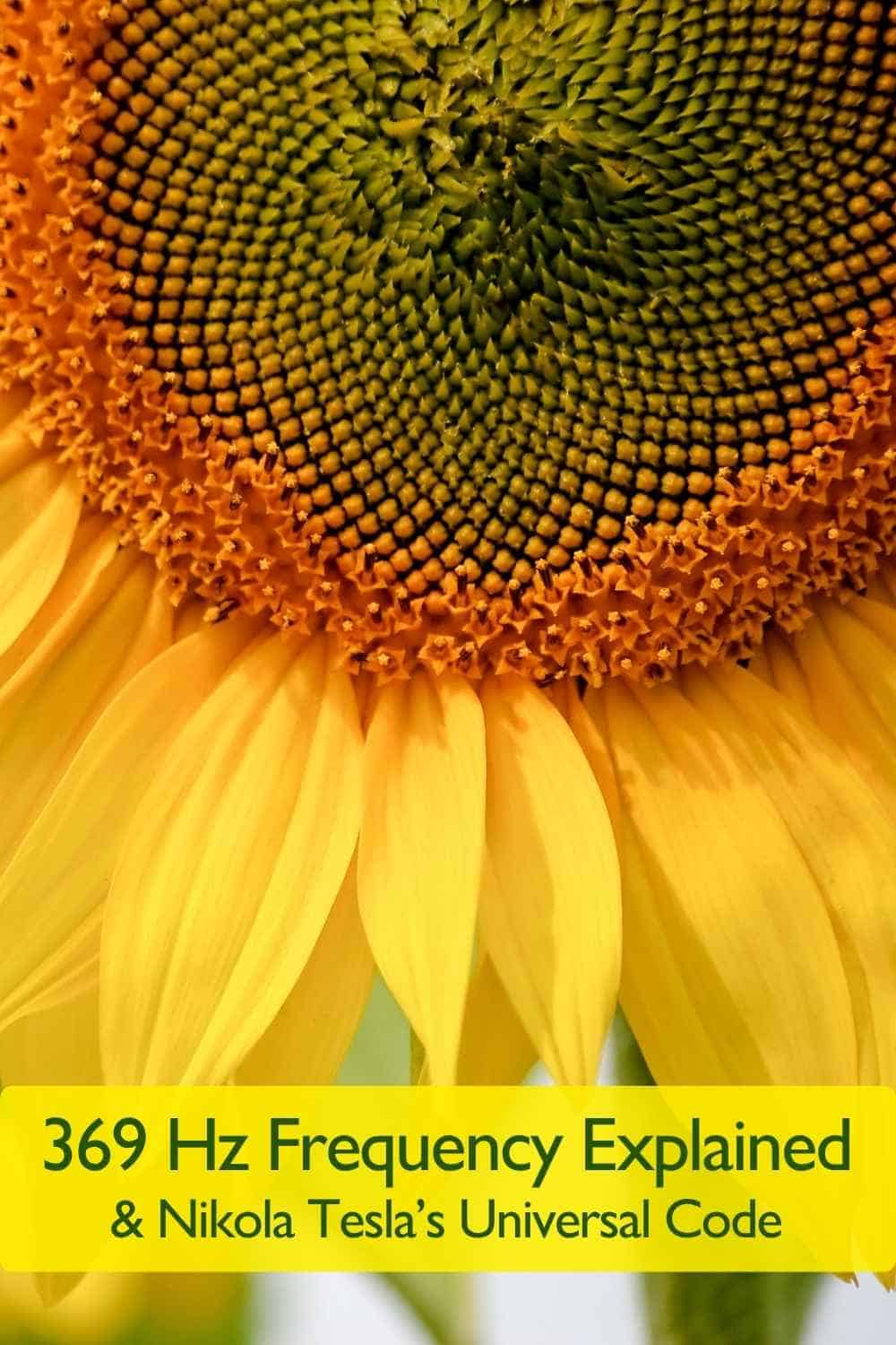 369 Hz Frequency Explained - Nikola Tesla’s Universal Code