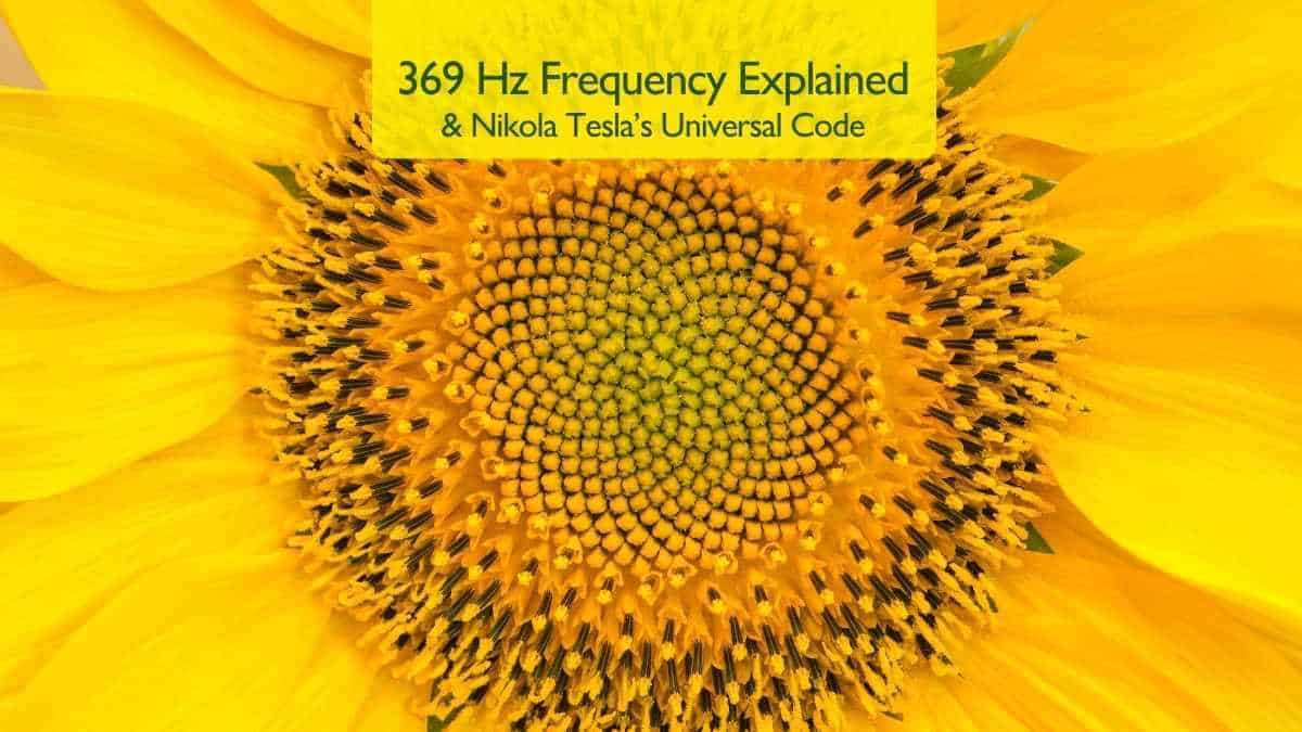 369 Hz Frequency Explained - Nikola Tesla’s Universal Code